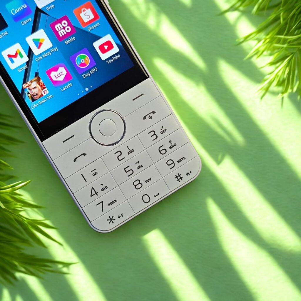 R17 Plus 2 Sim - QinVN